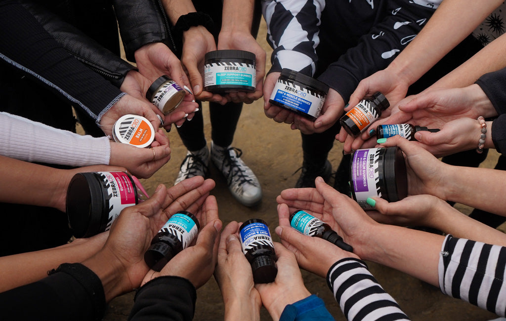 9 Different Types of CBDs and CBD Products: A Guide - Zebra CBD