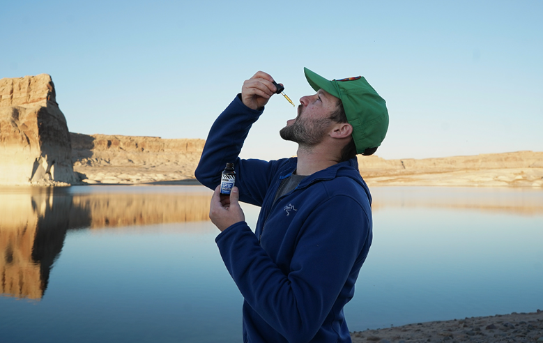 CBD and Gut Health: Can It Aid Digestive Wellness? | Zebra CBD