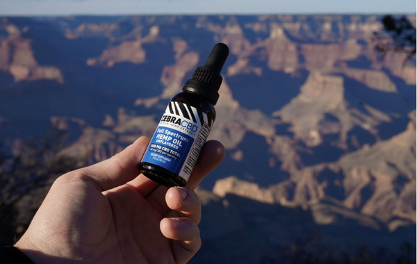 What is a CBD Tincture? Understanding the Basics - Zebra CBD