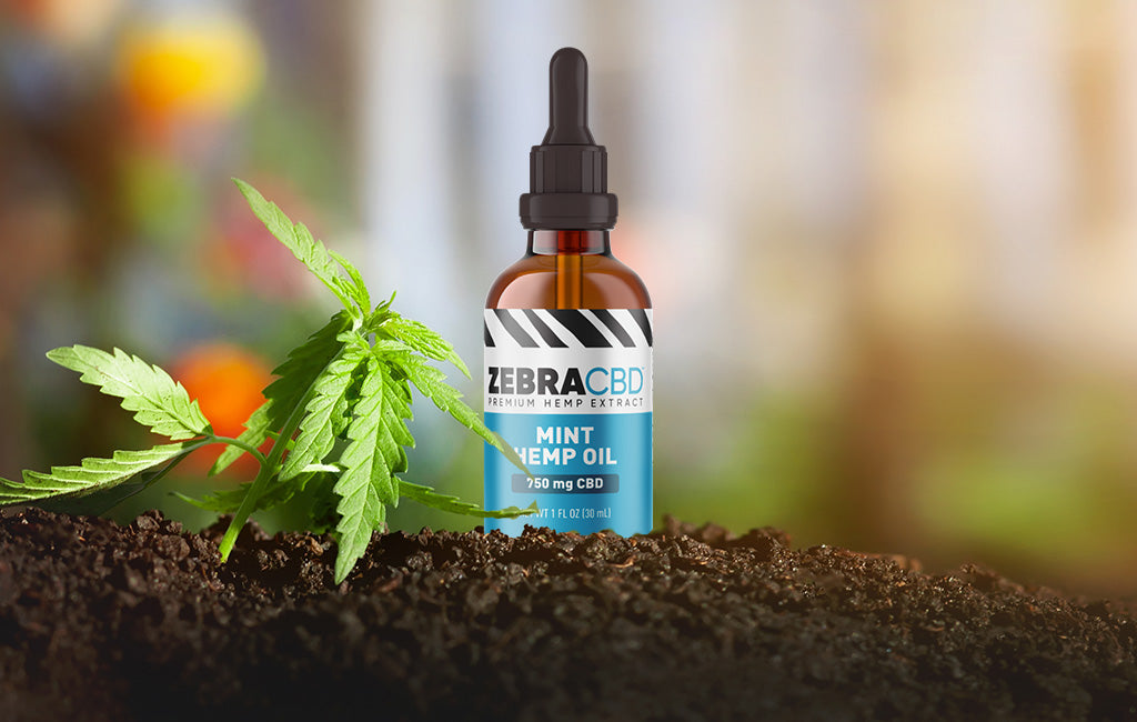 CBD Health & Vitality Chewable Tablets with Premium CBD Oil | Zebra CBD