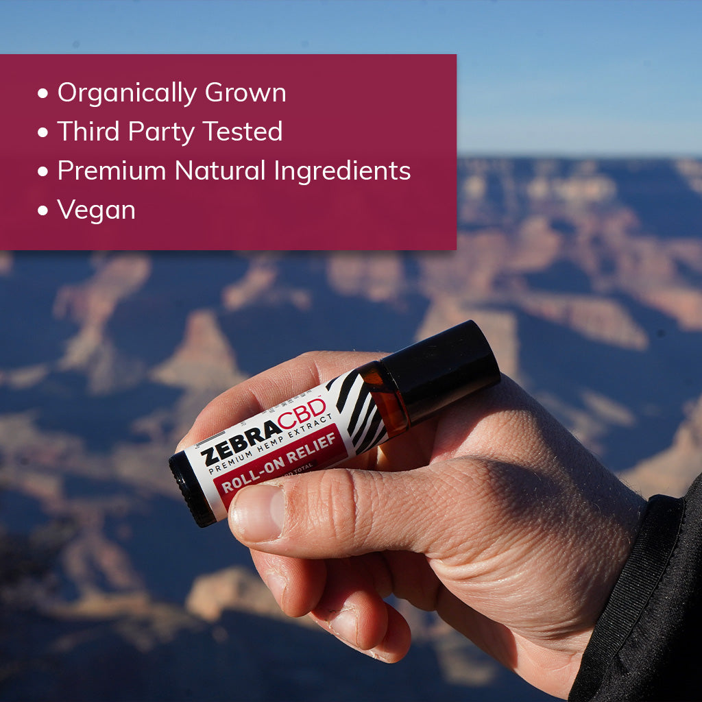 CBD Roll-On for Pain Relief | Roll-On Gel with CBD | Zebra CBD